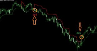 Super Trader Book PDF – Expanded Edition